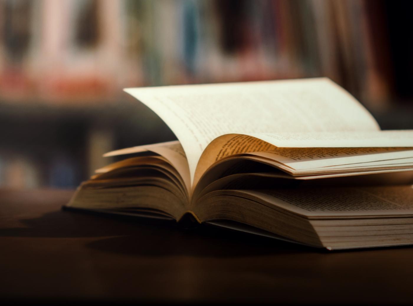 Wits School of Governance | Wits University