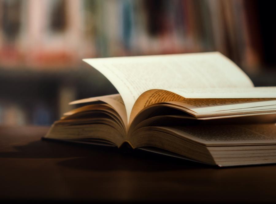 Wits School of Governance | Wits University